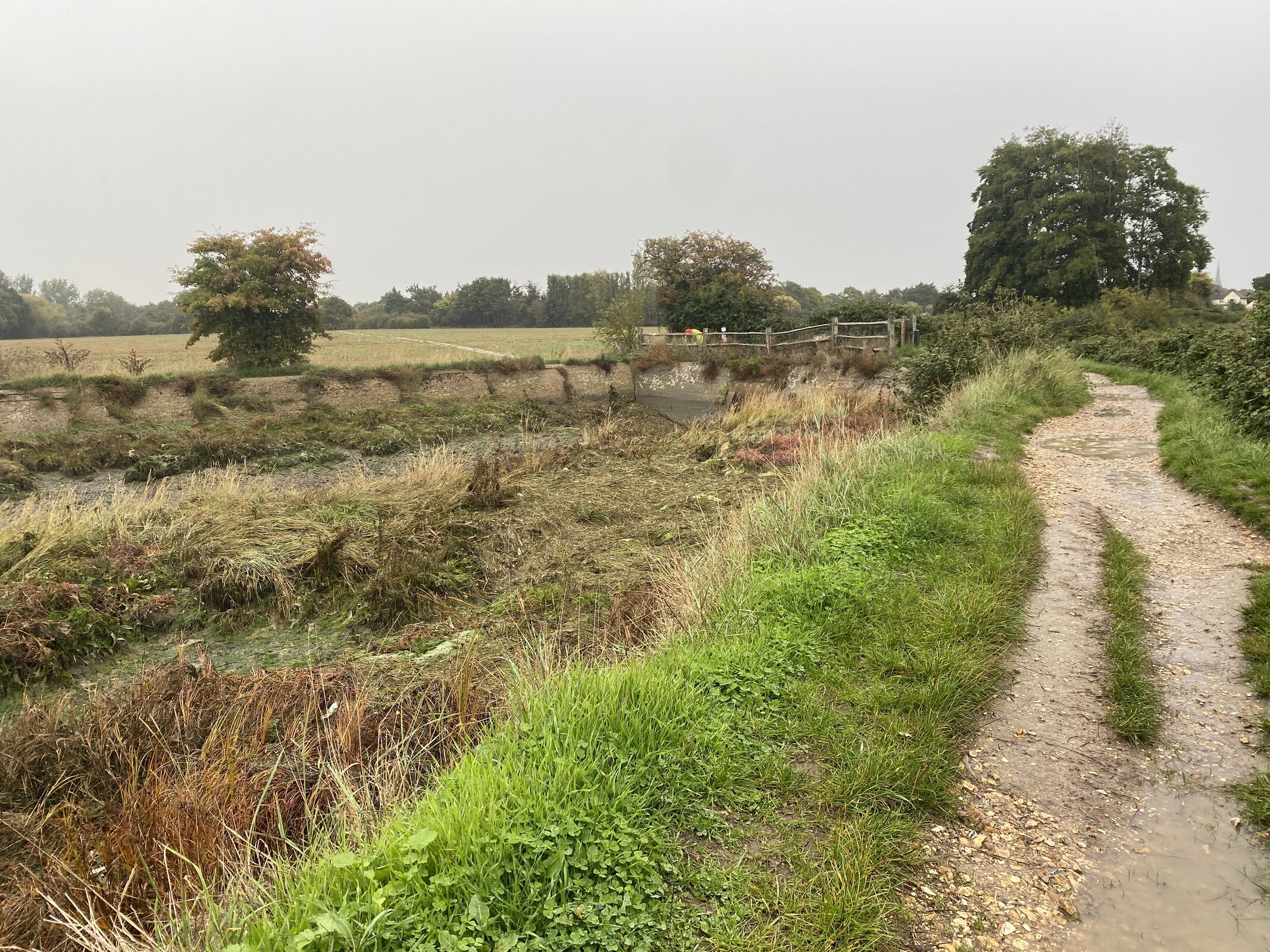 46EDEC23-2743-44C5-942F-F47E5B782553.jpeg | Fishbourne Flat Five